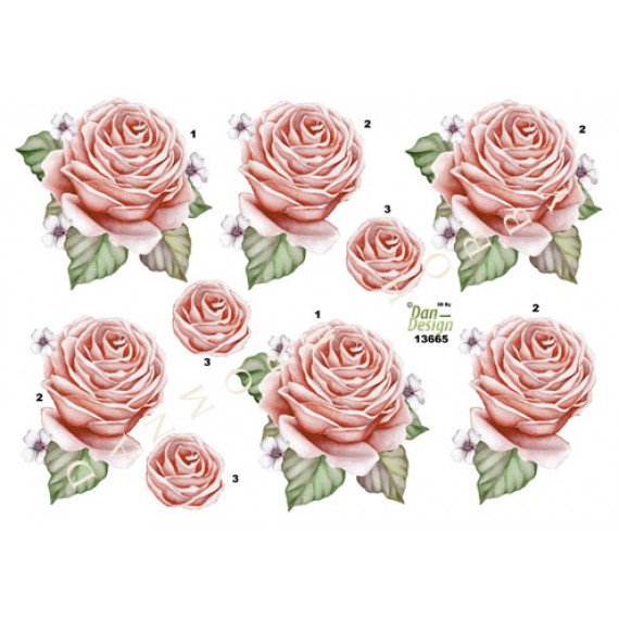 3D ark lyserød rose